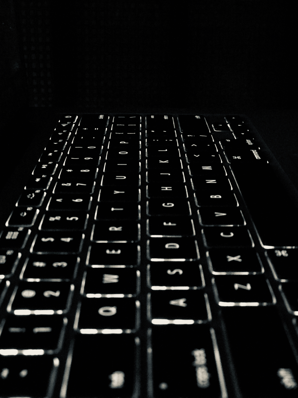 Home - LuckyDog Technology - Your best friend in tech...